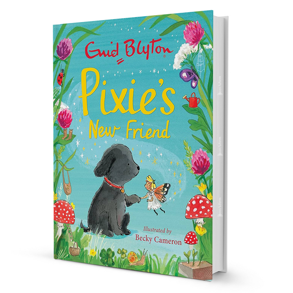 Pixie's New Friend By Enid Blyton – BooxWorm