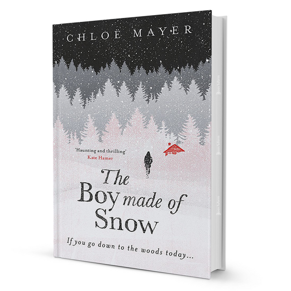 The Boy Made Of Snow By Chloe Mayer – BooxWorm